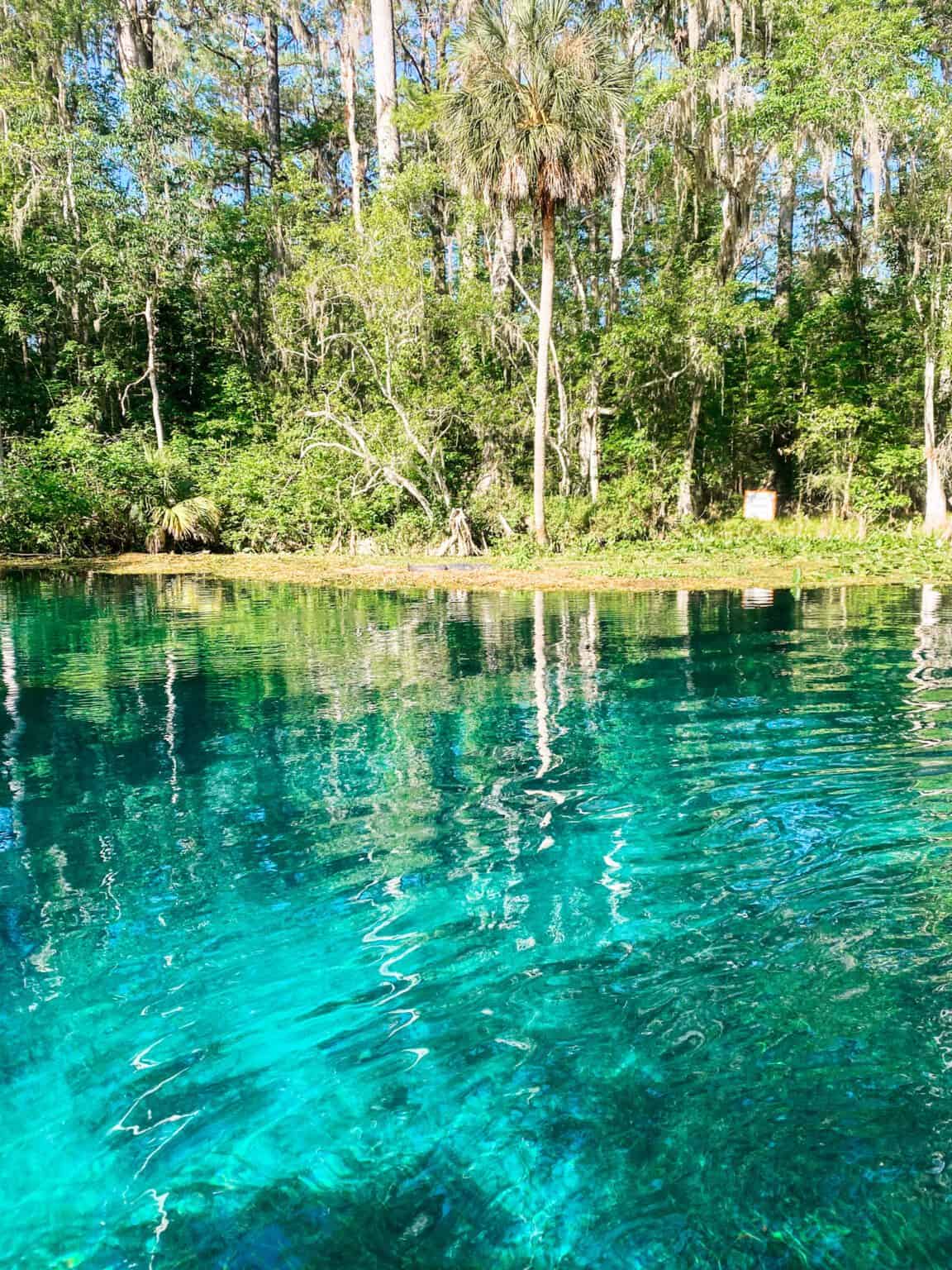 15 Best Things to Do in DeLand, Florida (From a Local) - SALTY SARAH