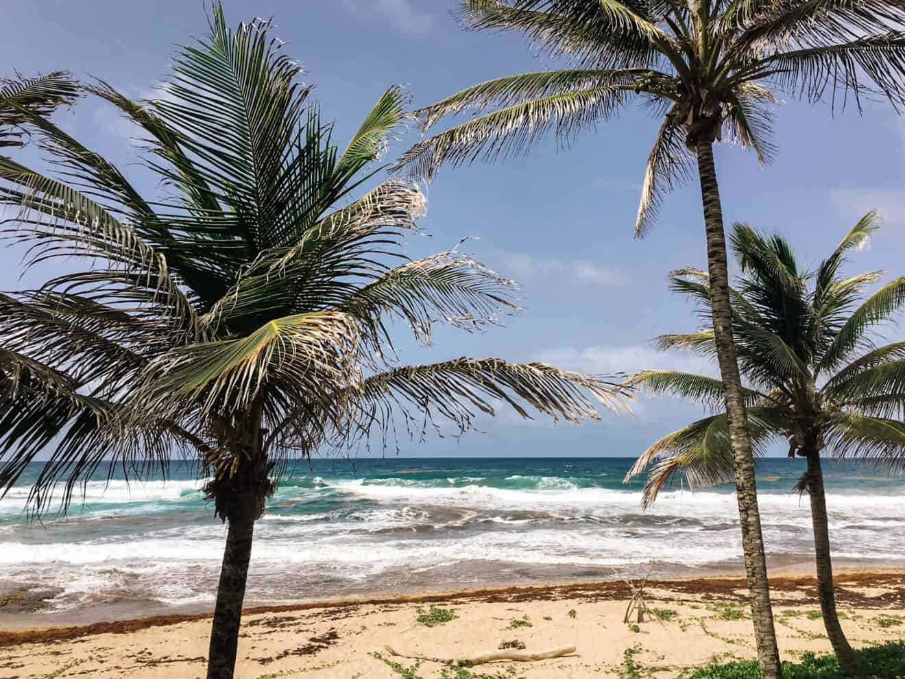 Is Barbados Safe? Safety Guide from a Local Born There - SALTY SARAH