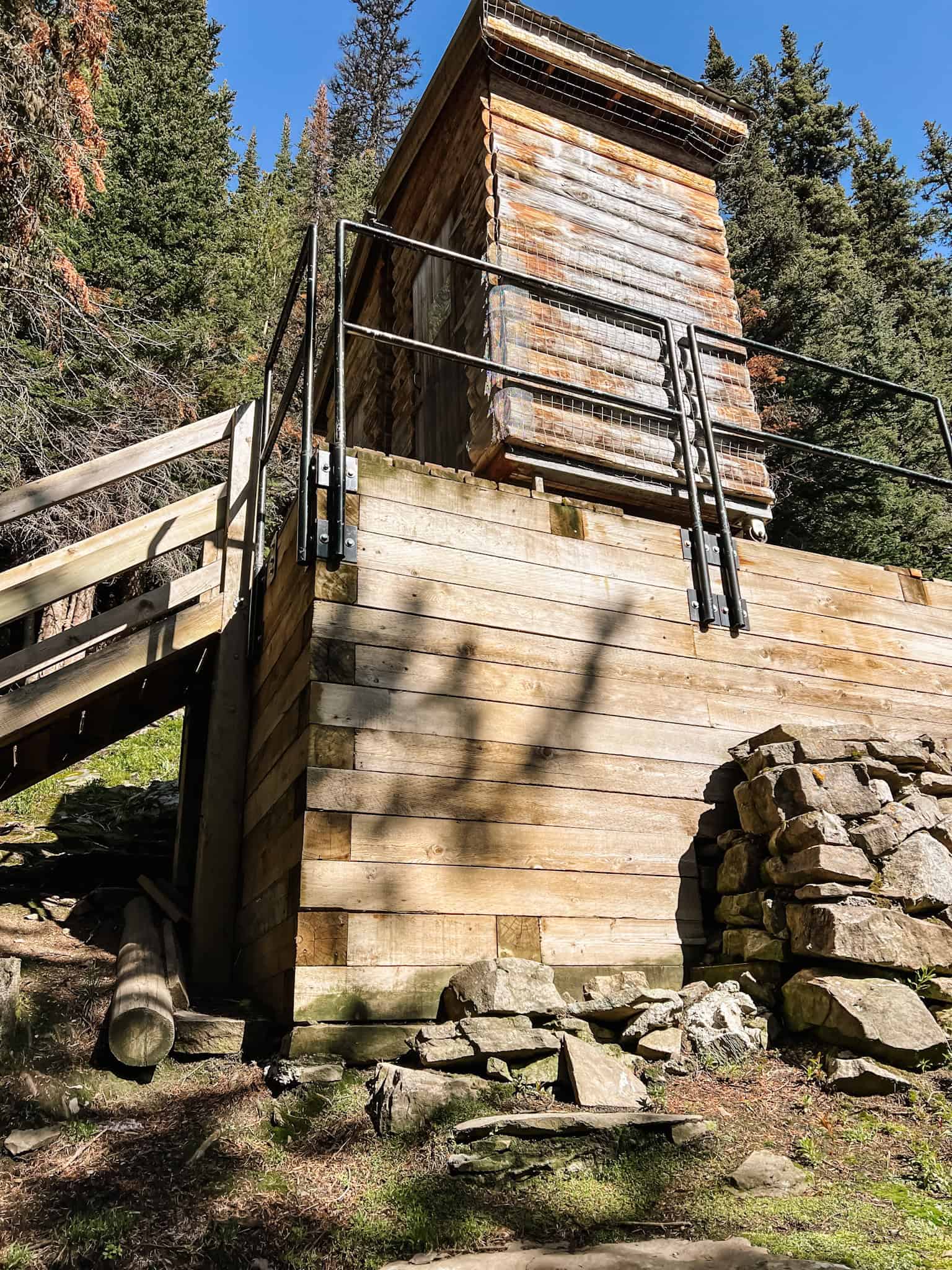 Lake Agnes Tea House Hike: The Ultimate Beginner’s Guide to This ...