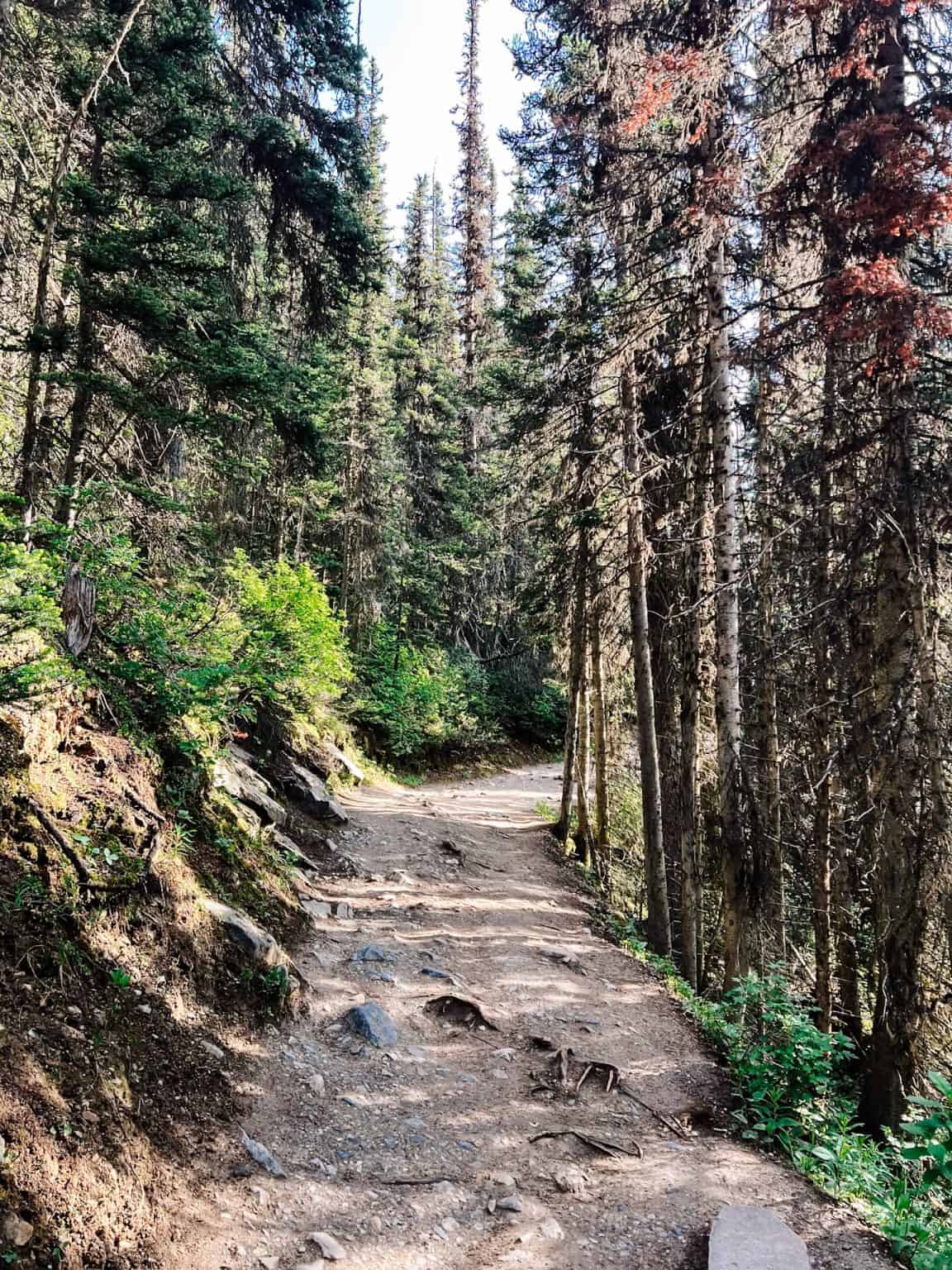 Lake Agnes Tea House Hike: The Ultimate Beginner’s Guide to This ...