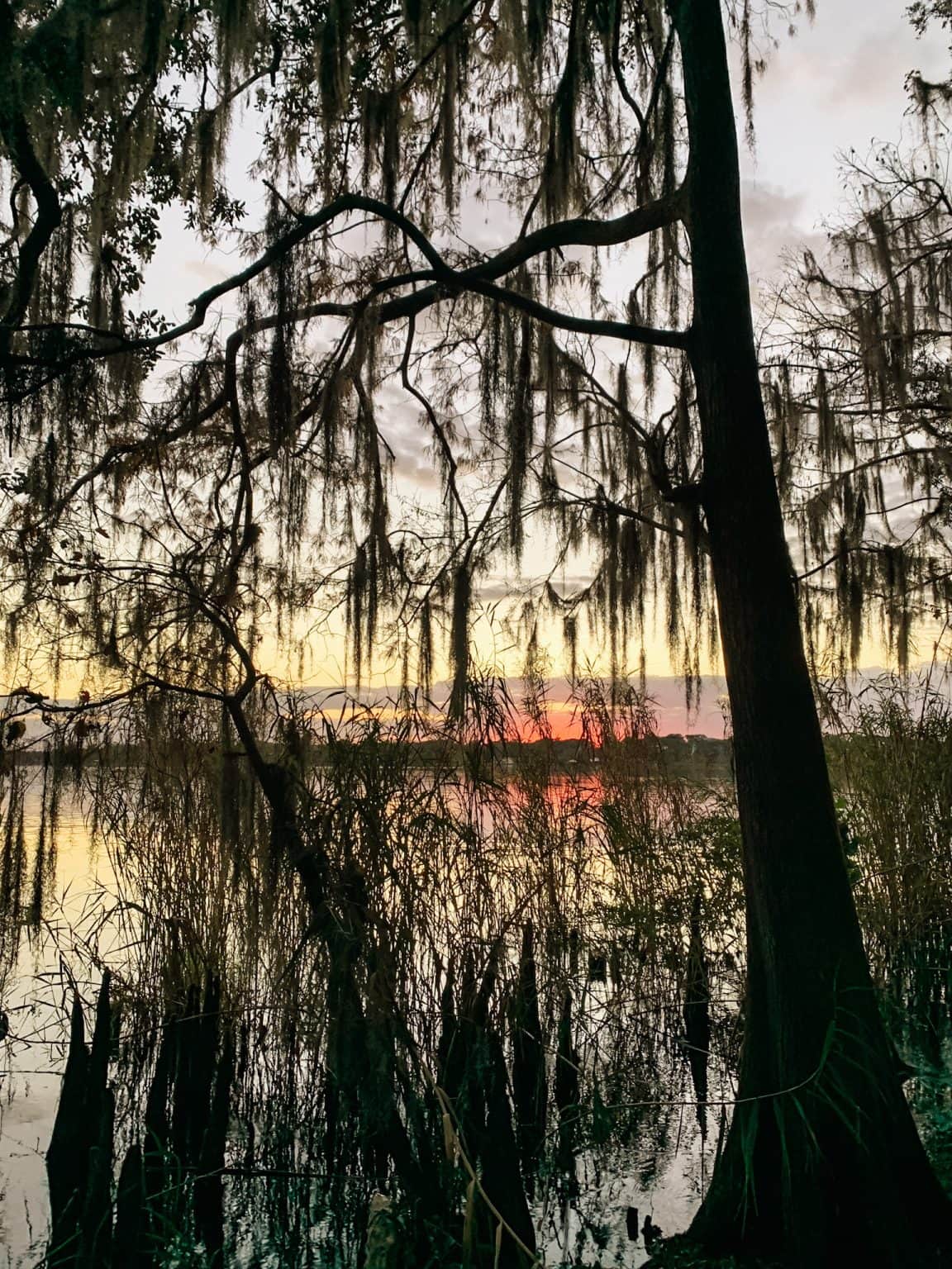 29 Best Day Trips from Orlando (with Driving Times) - SALTY SARAH
