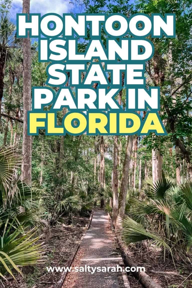 Hontoon Island State Park in Florida Guide: A Hidden Gem in DeLand ...